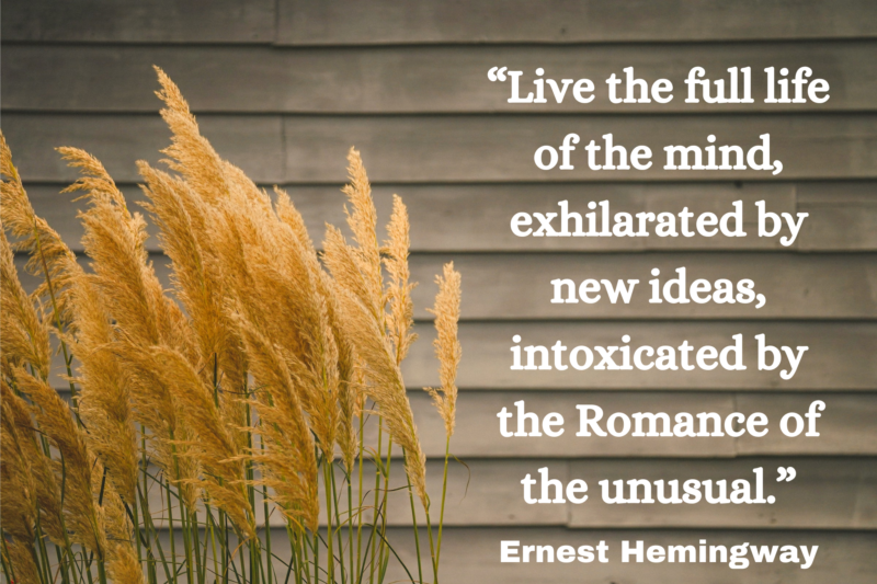 10 Expert Tips for Living Life to the Fullest - Beyondpsychub