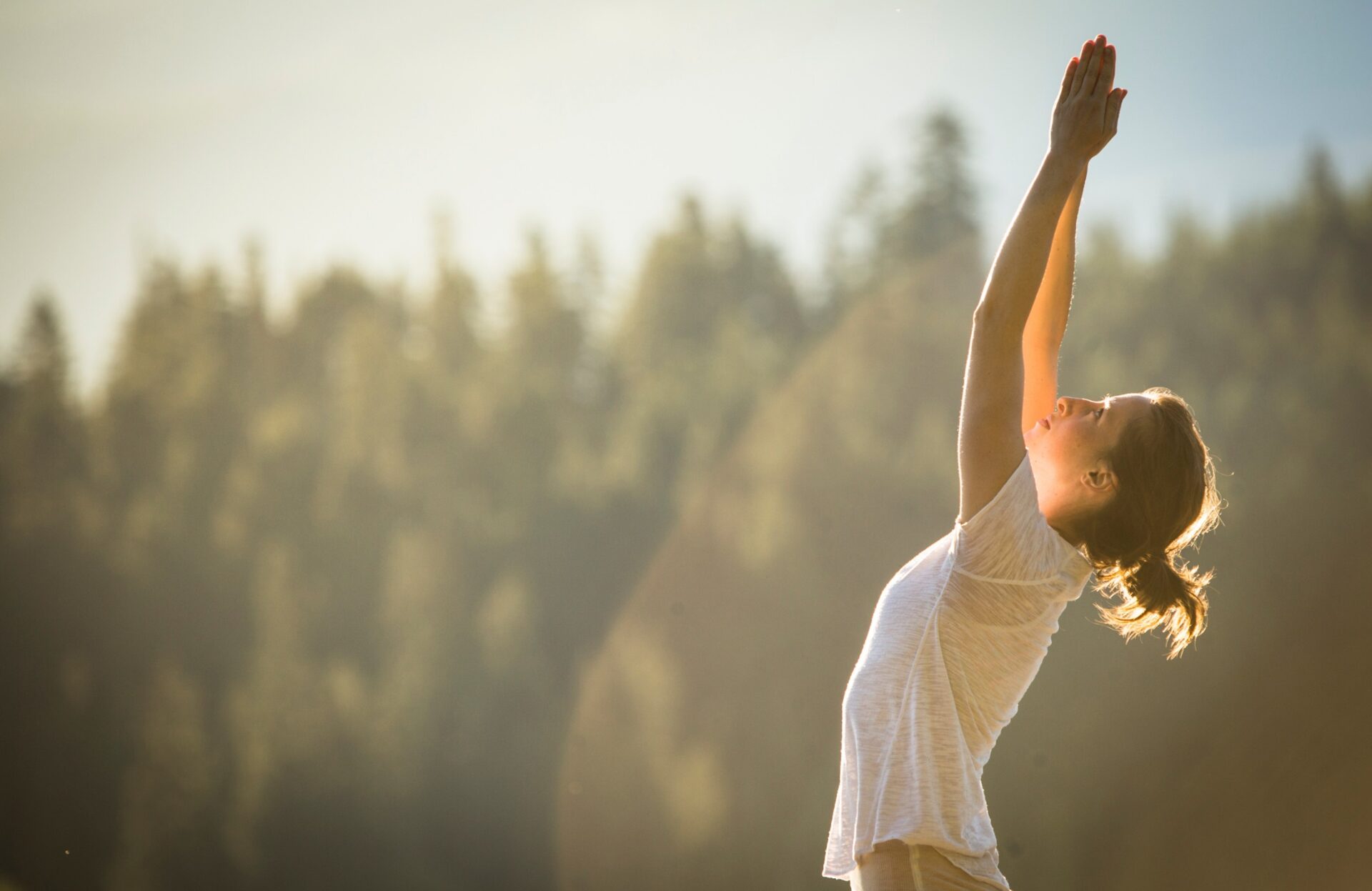 A Closer Look at DBT Distress Tolerance Skills: ACCEPTS Skill ...